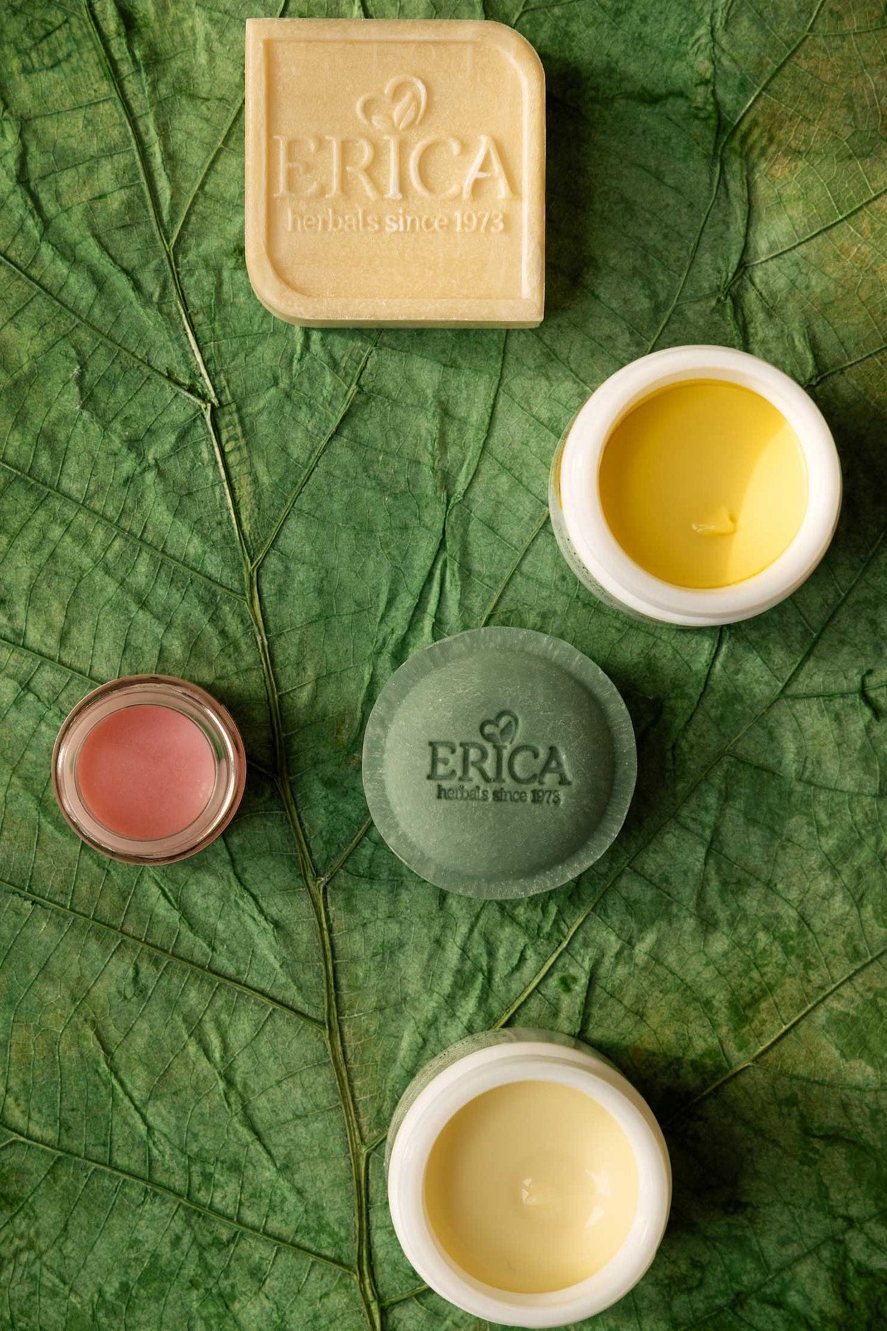 Erica | 50 jaar expertise in natuurlijke gezondheid